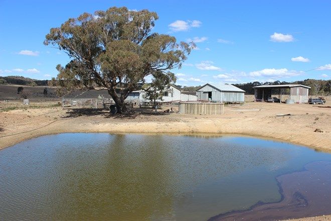 153 Real Estate Properties for Sale in Dunedoo, NSW, 2844 | Domain