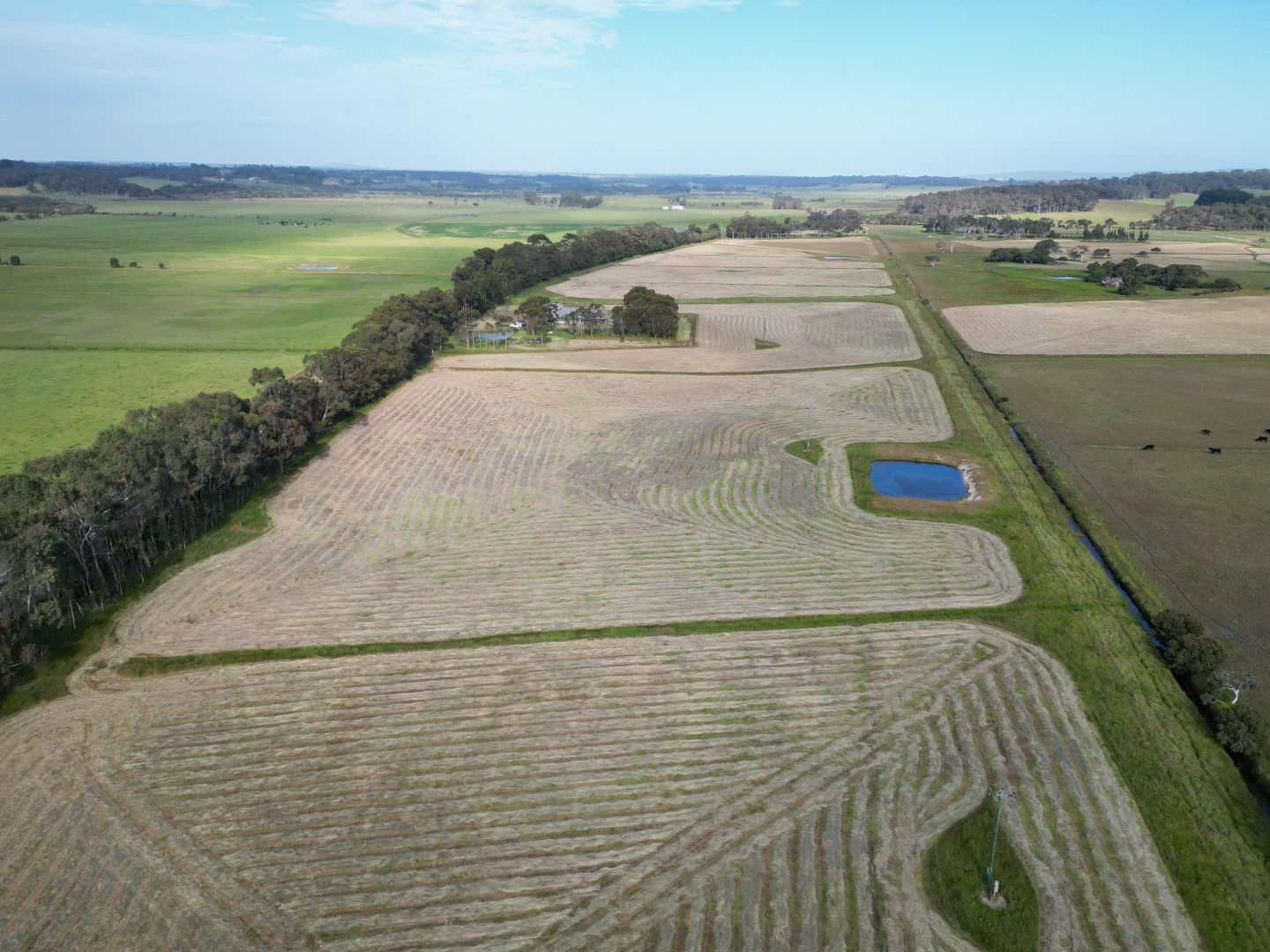 49455 South Coast Highway, Torbay WA 6330 | Domain