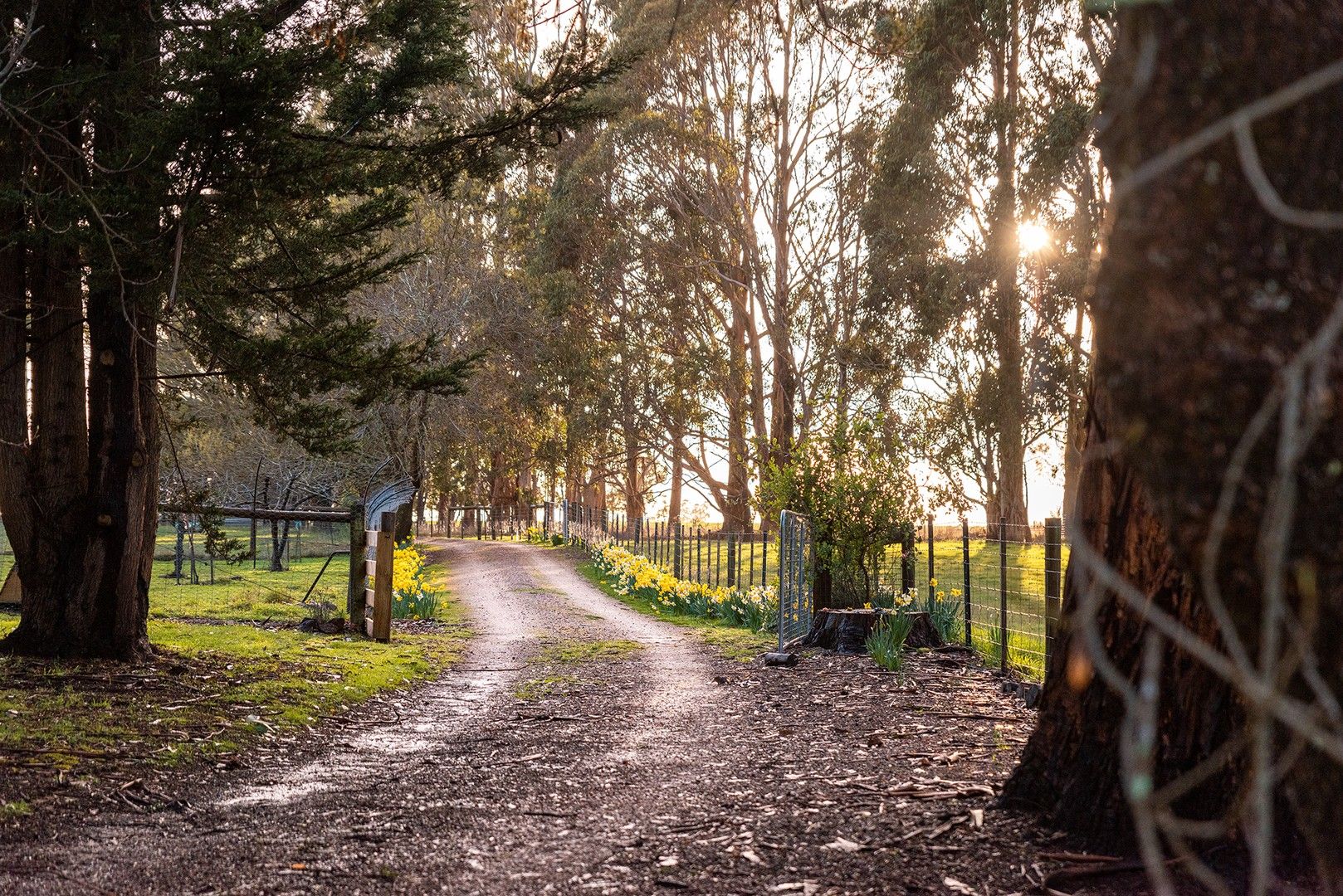 52 Gillams Lane, Sheffield TAS 7306 | Domain