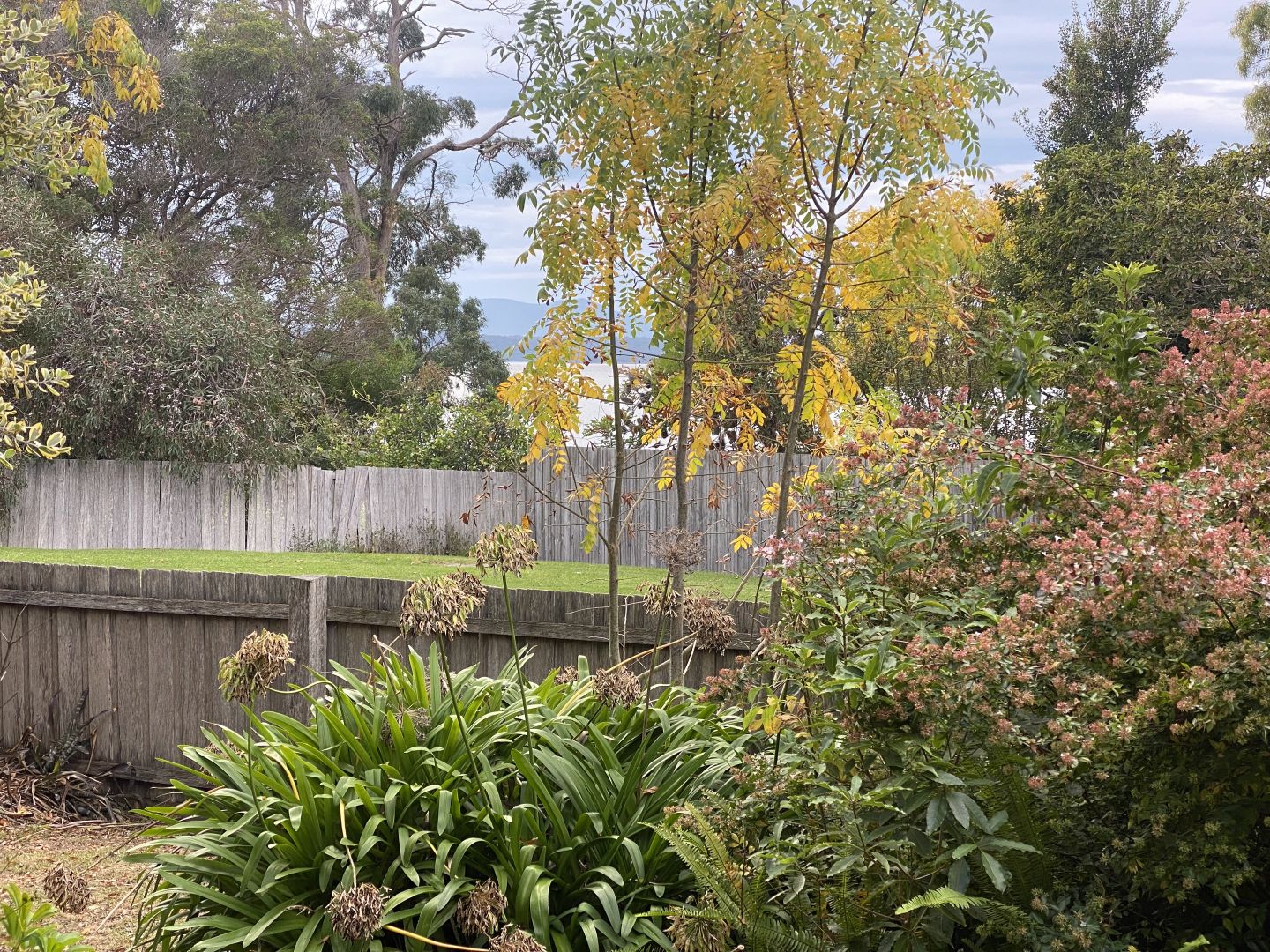 9 Broome Street, Mallacoota VIC 3892 | Domain