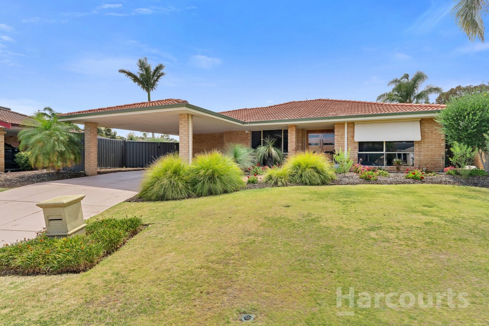 5 Seminole Close, Connolly WA 6027 | Domain
