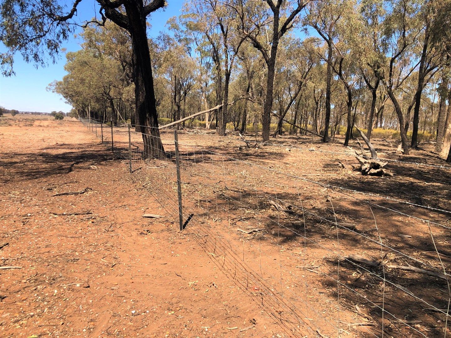 Sold 698 Wilga Ridge Road, Fifield NSW 2875 on 29 Nov 2019 - 2015820990 ...