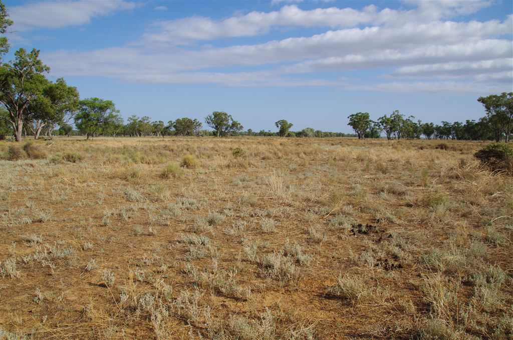 918 Sunnyside Road, Spring Plains | Property History & Address Research ...