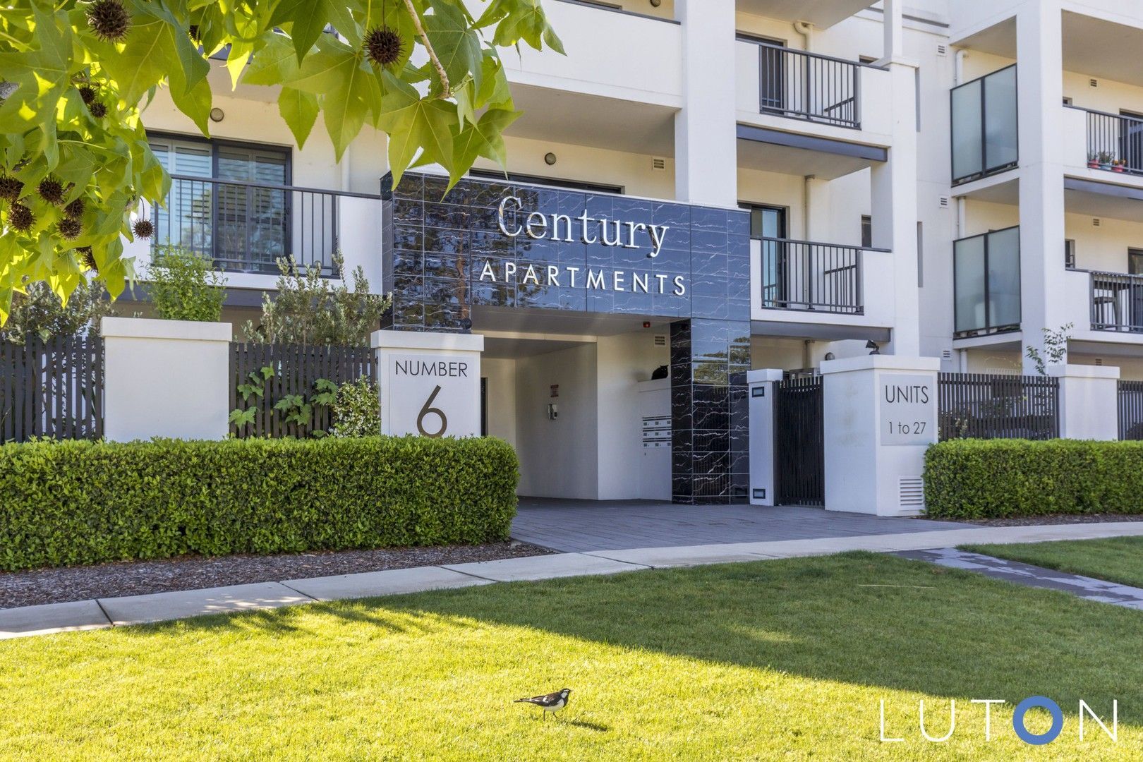 5/6 Cunningham Street, Griffith ACT 2603 - Apartment For Rent | Domain