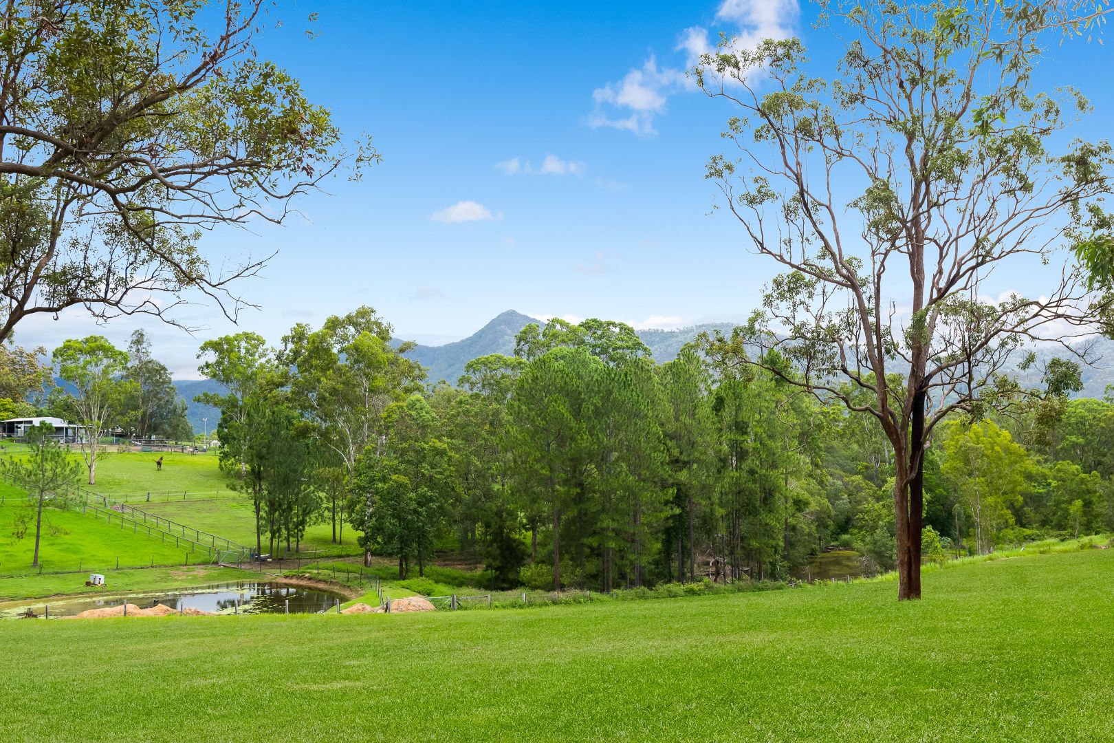 1080 Winn Road, Mount Samson | Property History & Address Research | Domain