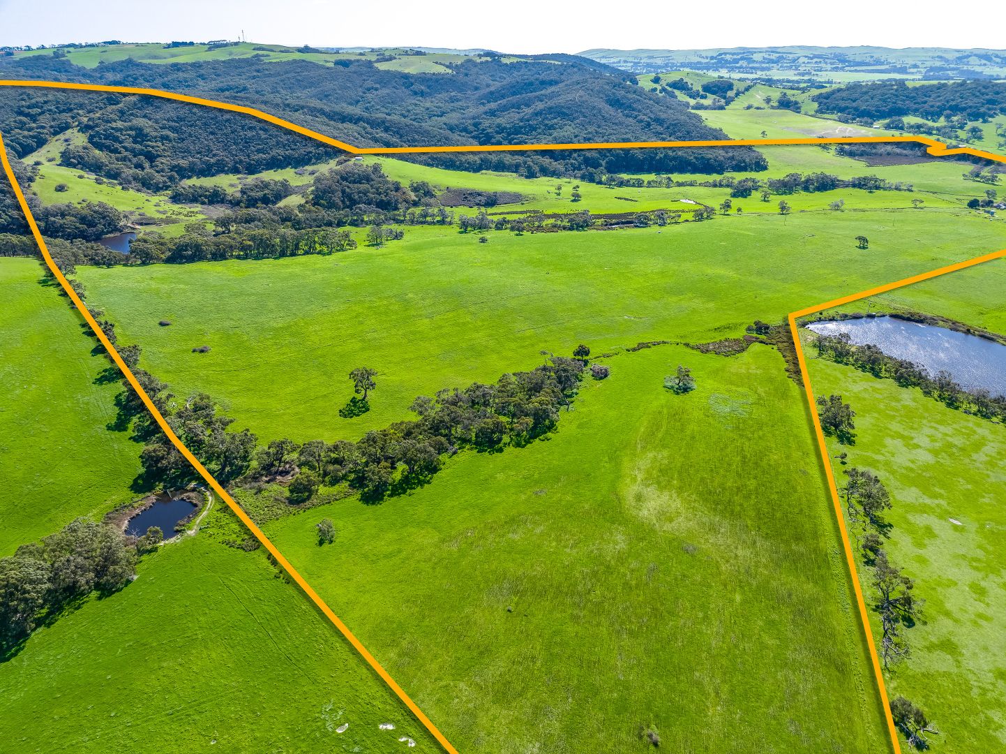128 Hammond Road, Hindmarsh Tiers SA 5202 - Farm for Sale | Domain