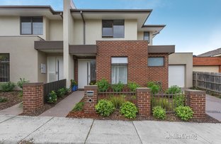 Sam Macaluso | Jellis Craig & Company Pty Ltd | Real Estate Agent in ...