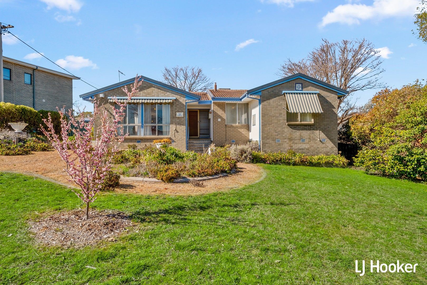 8 Gatty Place, Scullin ACT 2614 | Domain