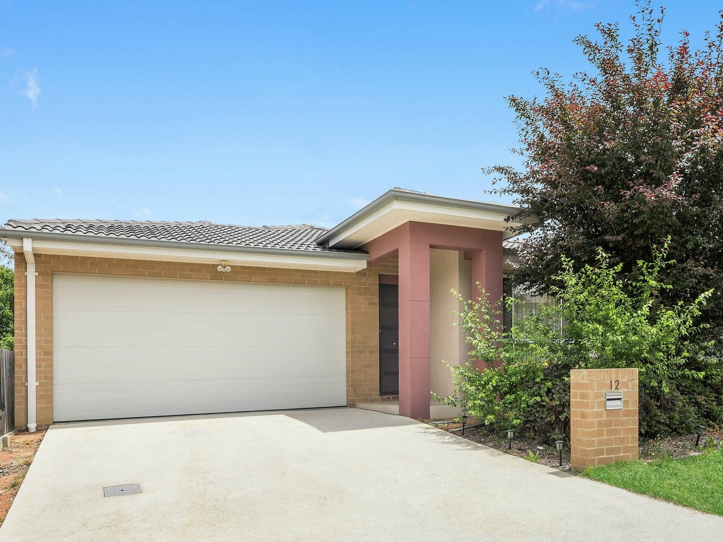 12 Grannall Street, Forde ACT 2914 - House For Rent | Domain