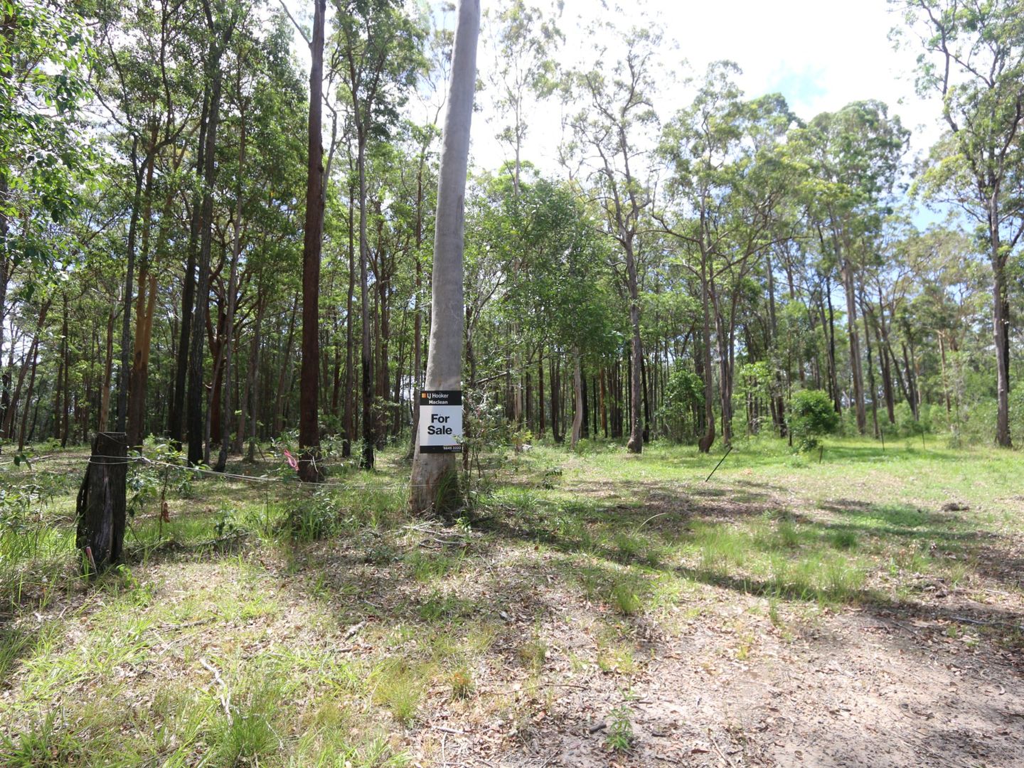Lot 6 West Street, Woombah NSW 2469 | Domain