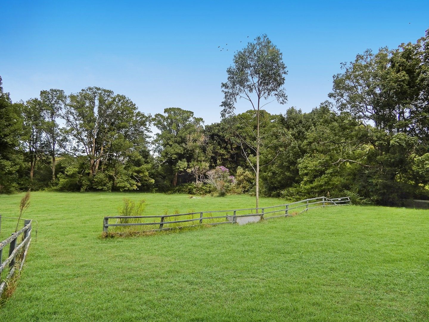 10 Milina Road, Holgate NSW 2250 - House for Rent | Domain