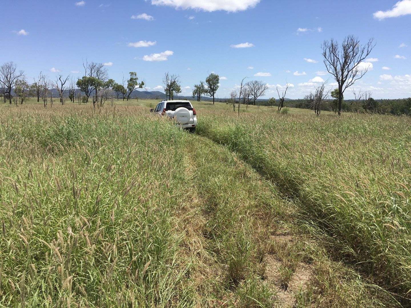 1555 Crowsdale Camboon Road, Prospect | Property History & Address ...