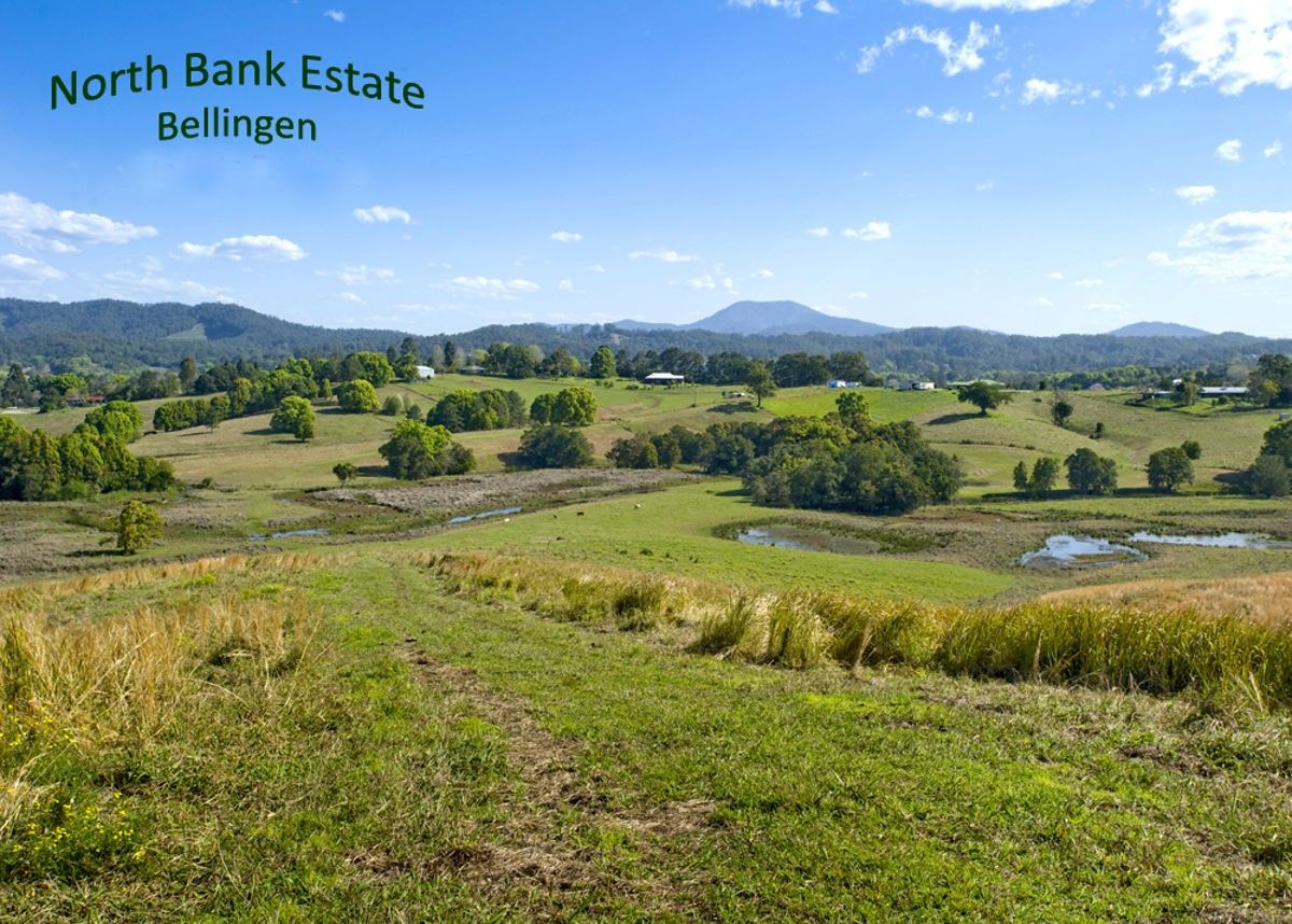 197 North Bank Road, Bellingen | Property History & Address Research ...
