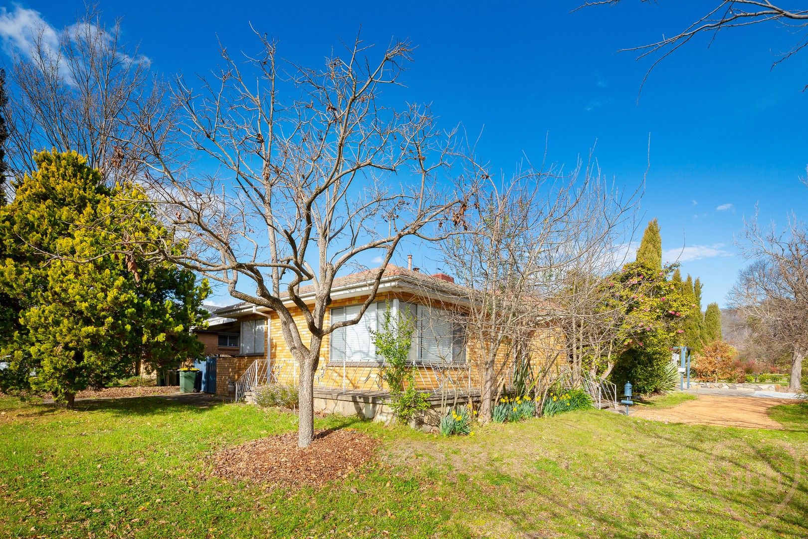 66 Hawdon Street, Ainslie ACT 2602 | Domain