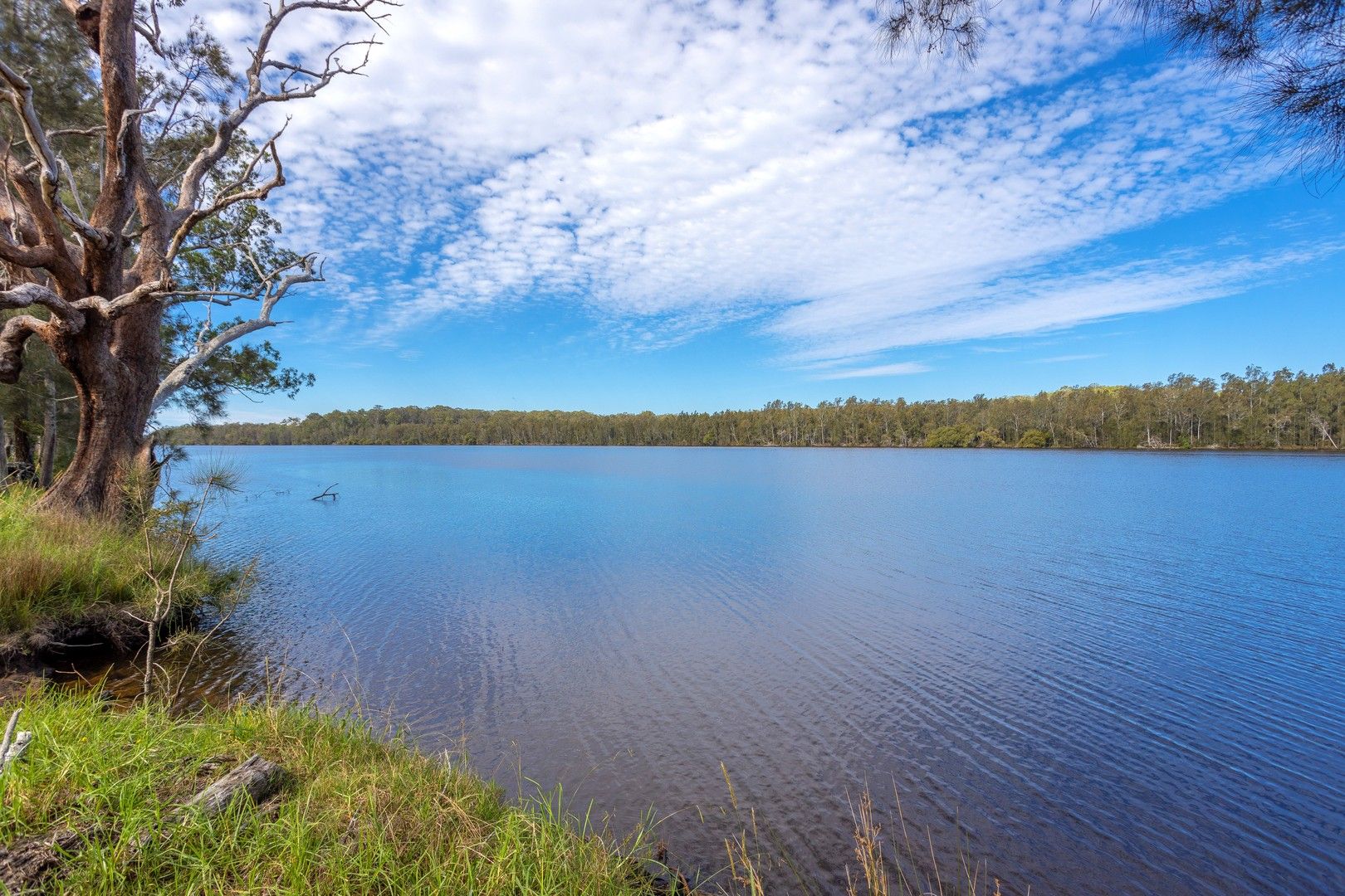 107 Minimbah West Branch Road, Minimbah NSW 2312 | Domain