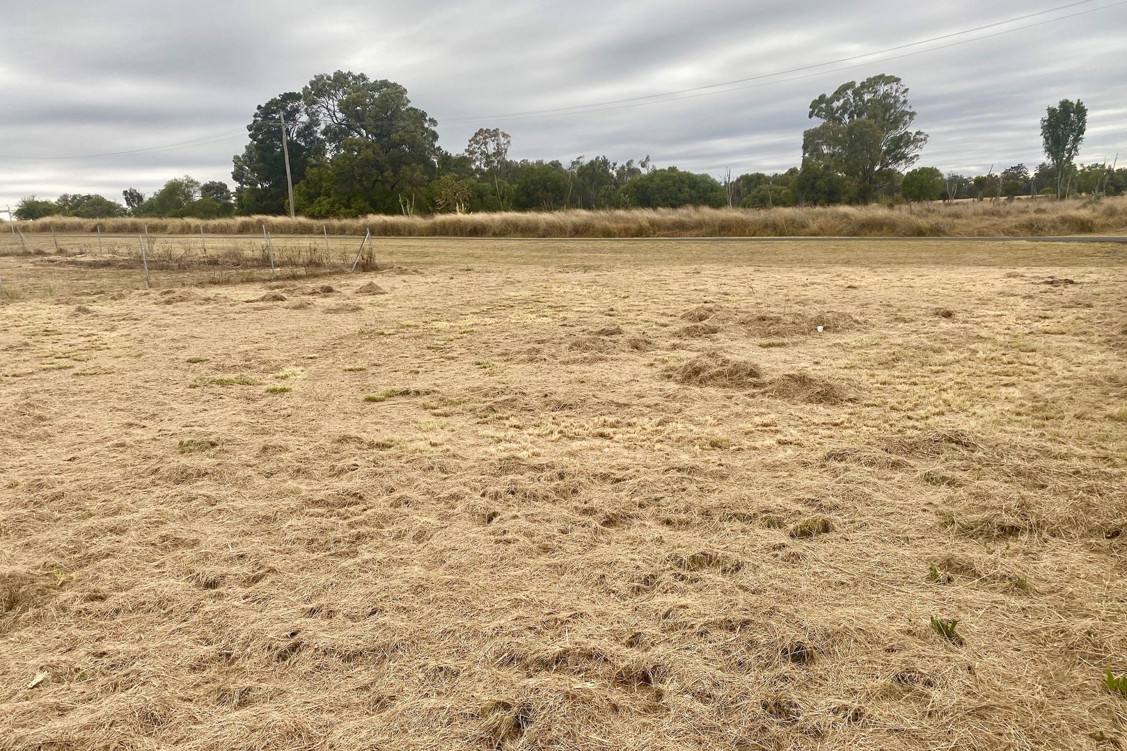 38 Denham Street, Peranga QLD 4352 | Domain