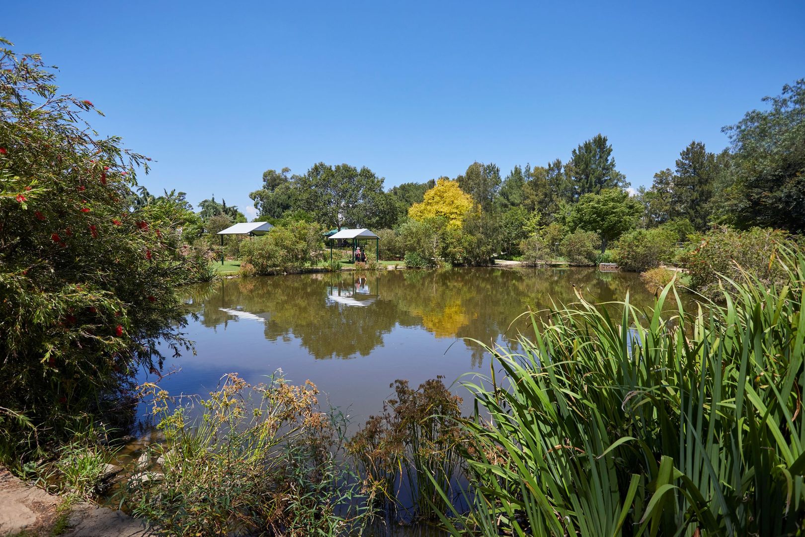 Lot 1 Proposed Road, Tahmoor NSW 2573 | Domain