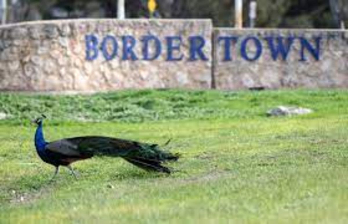 2 Victoria Parade, Bordertown SA 5268 | Domain