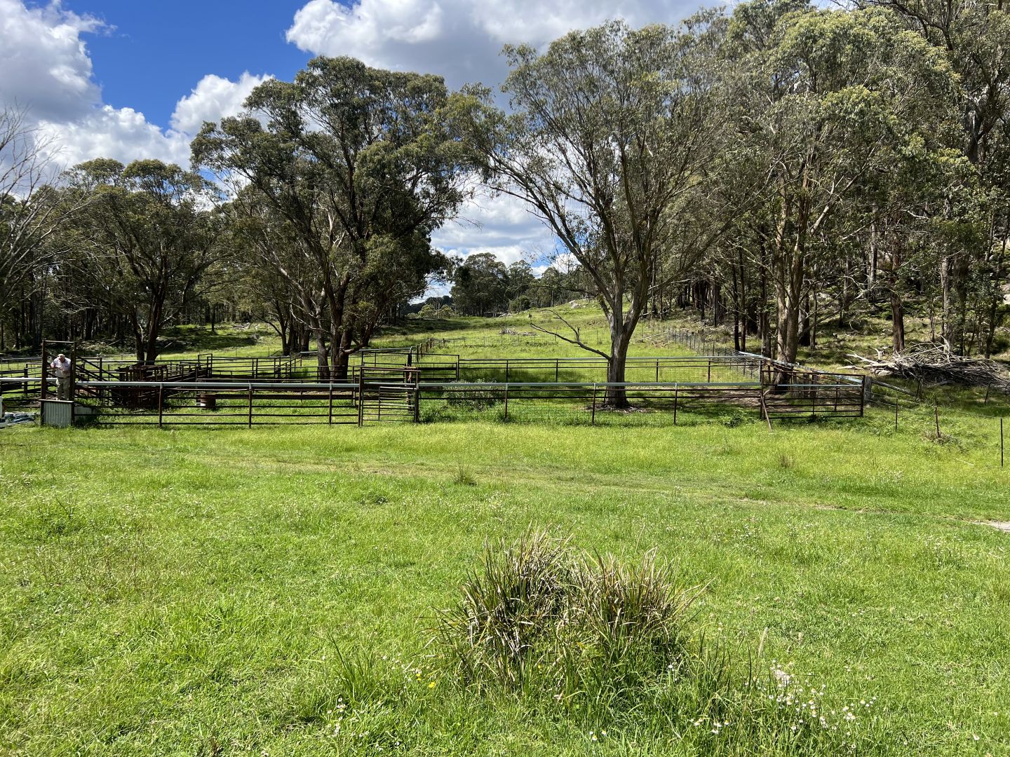 'Mt Clear'/* Morven Road, Dundee NSW 2370 - House for Sale | Domain