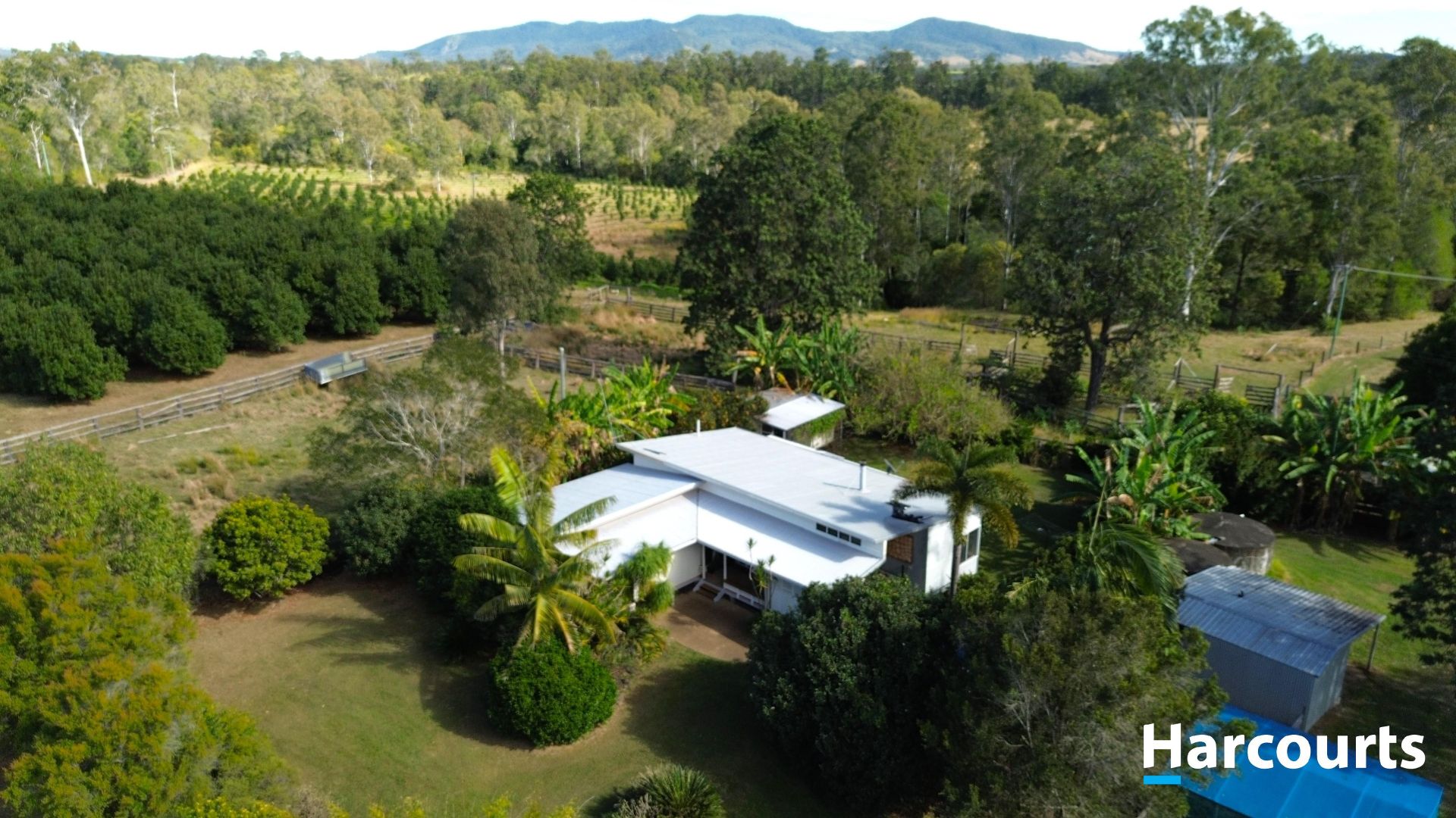 45 Talegalla Drive, Talegalla Weir QLD 4650 - House for Sale | Domain