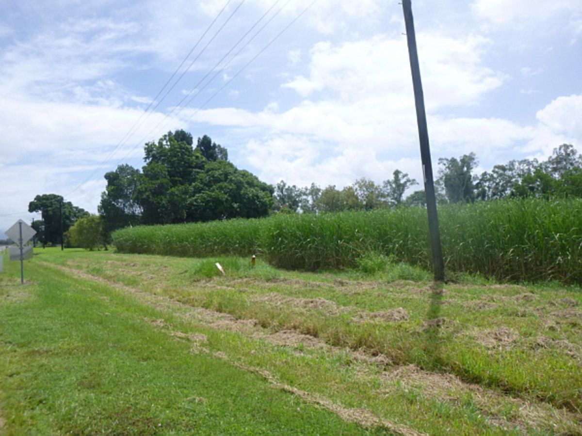 137 Abergowrie Road, Long Pocket QLD 4850 - House for Sale - $150,000