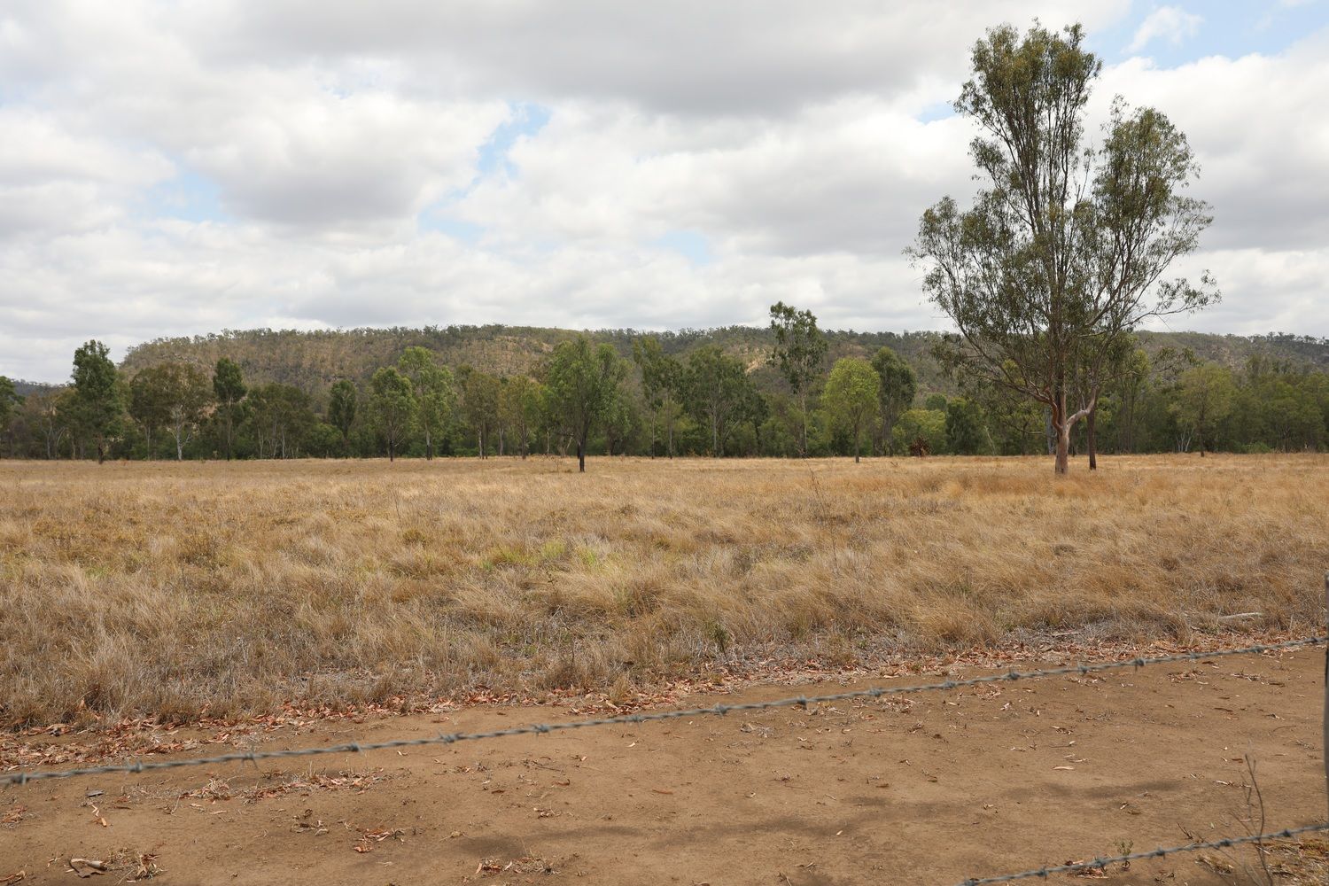 124 Lee Farm Road, Bushley QLD 4702 - House for Sale | Domain