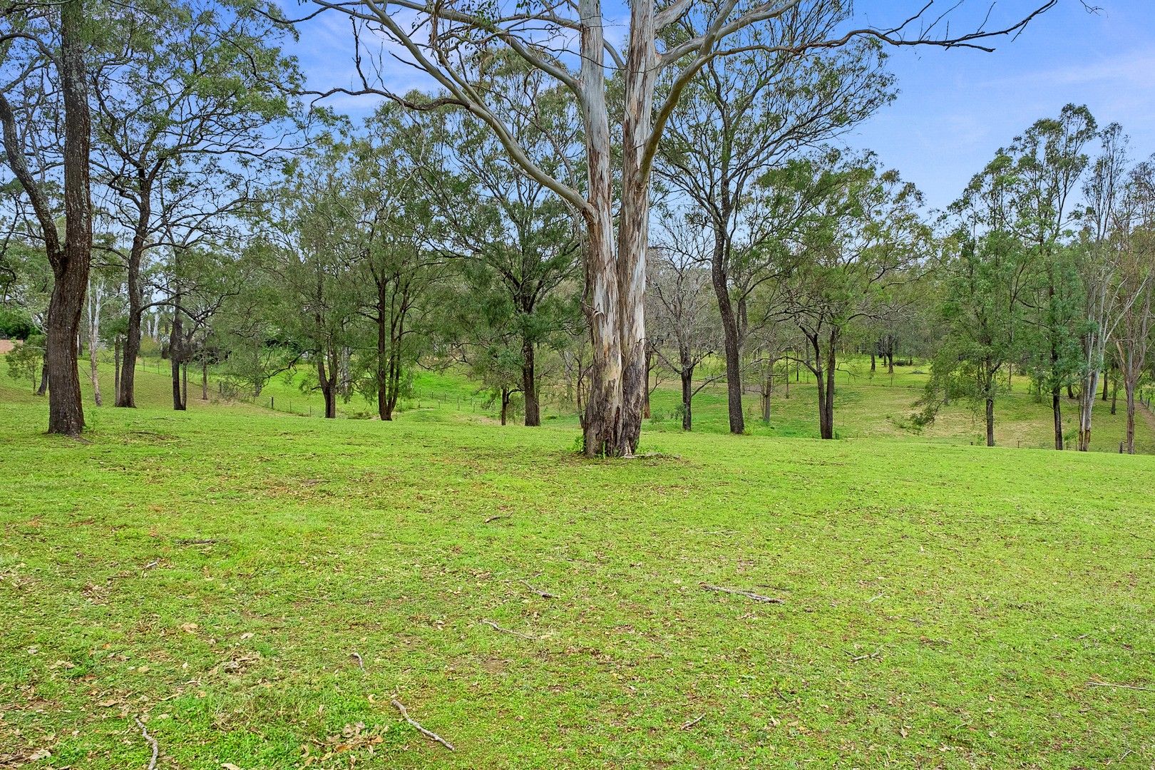 351 Grose Vale Road, Grose Vale NSW 2753 | Domain