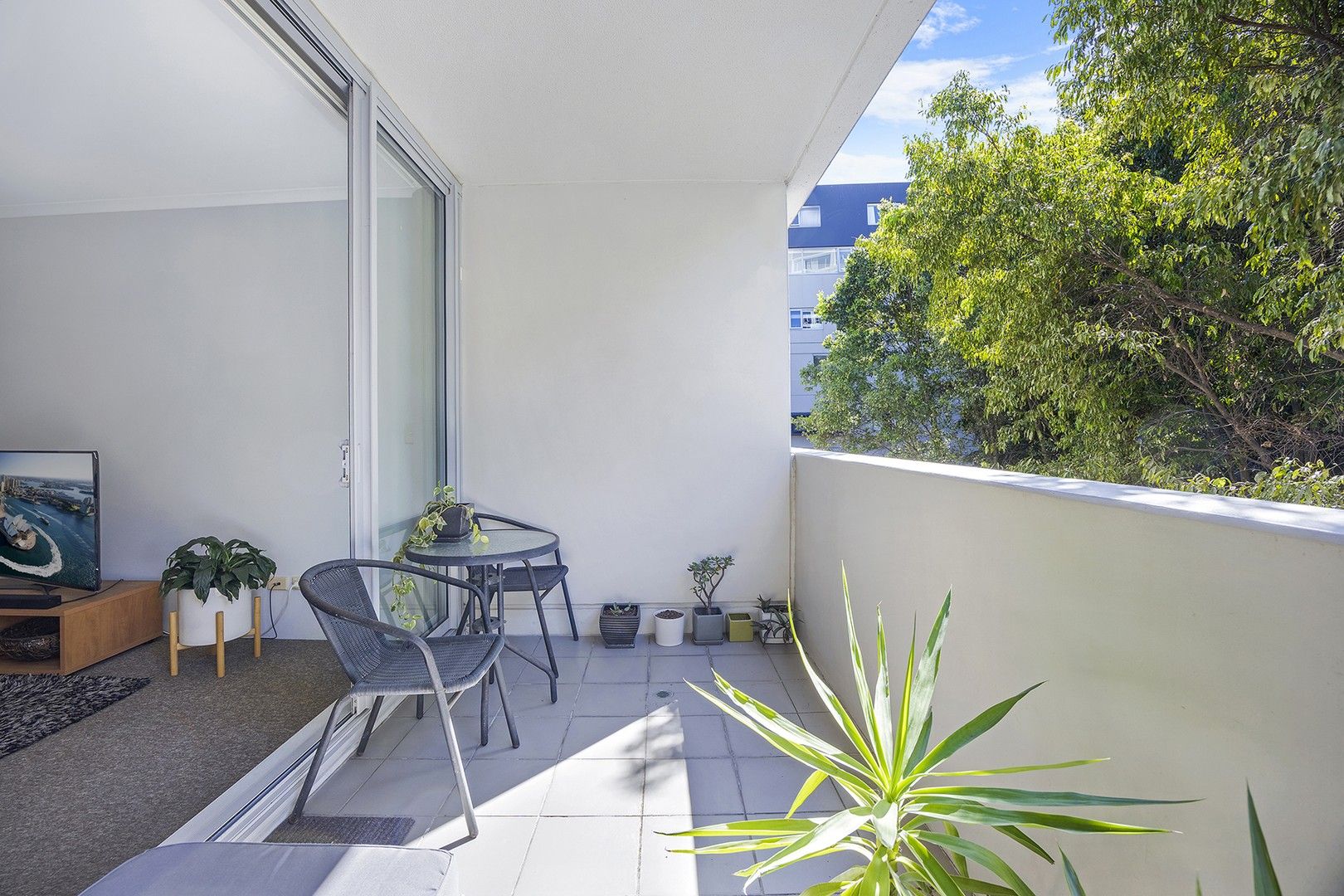 58/2 Levy Walk, Zetland NSW 2017 | Domain