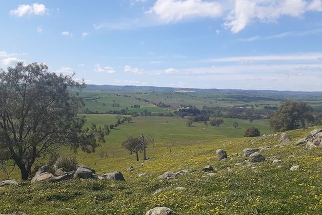 257 Real Estate Properties for Sale in Boorowa, NSW, 2586 | Domain