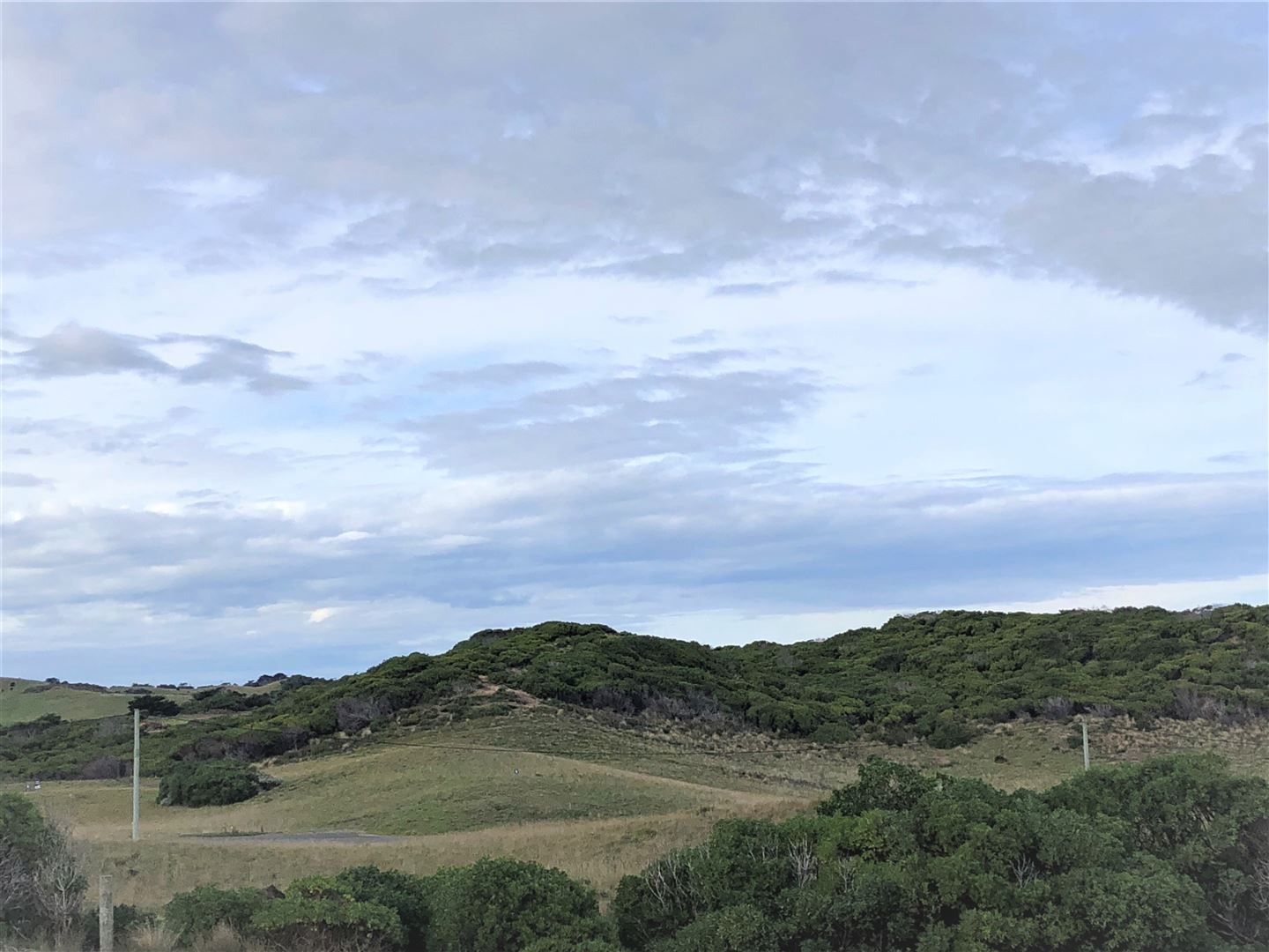 1/3 Moores Drive, Currie TAS 7256 | Domain