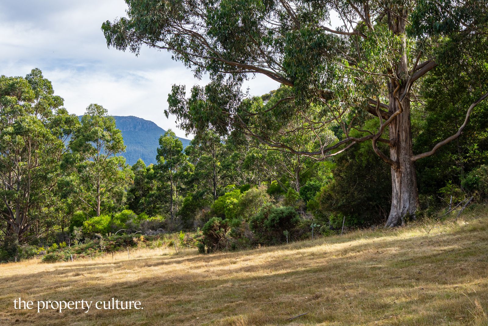 Lot 2 Off Sepia Rd, Mountain River TAS 7109 - Vacant Land for Sale