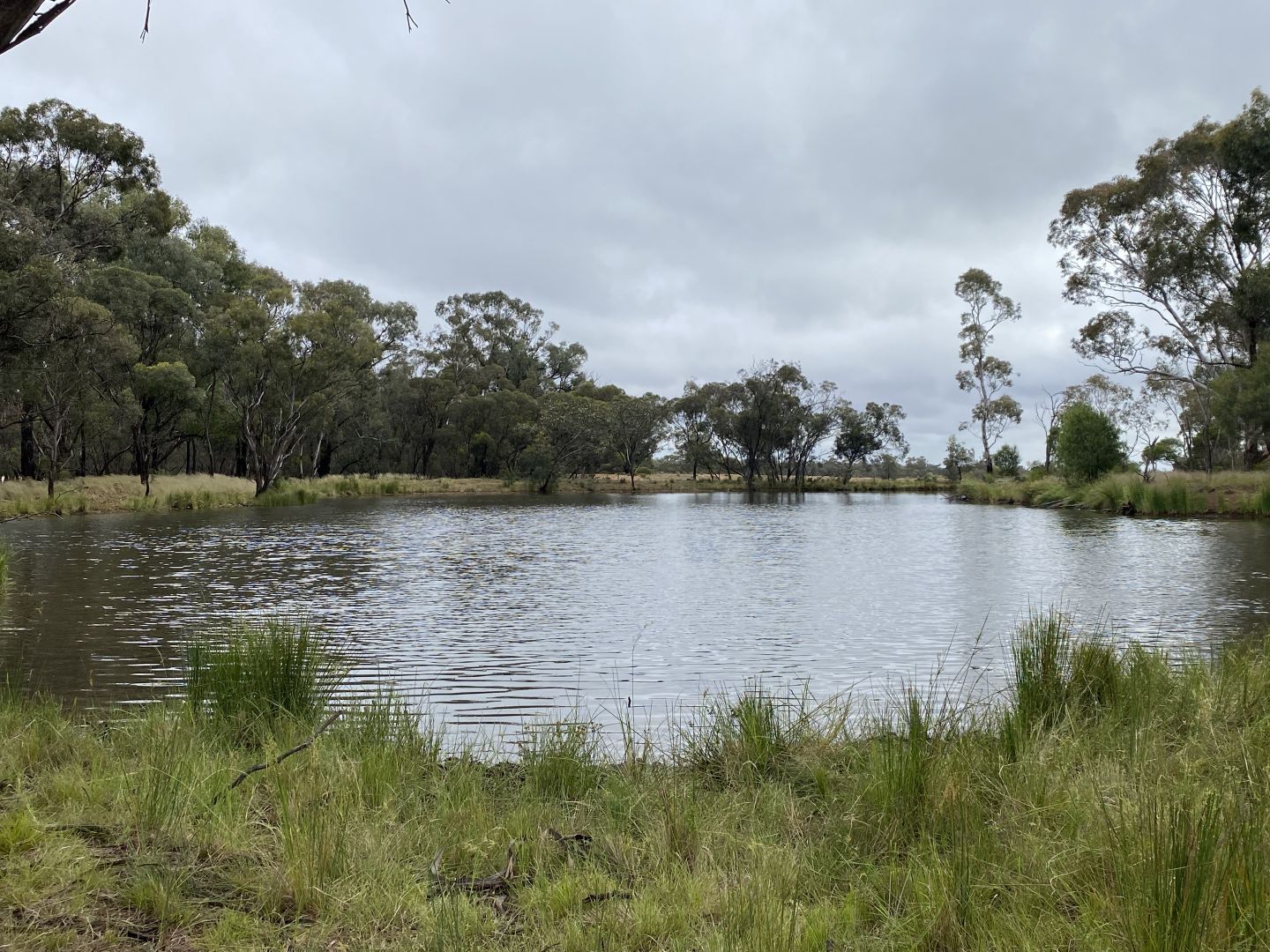 1222 Wilga Ridge Road, Fifield | Property History & Address Research ...