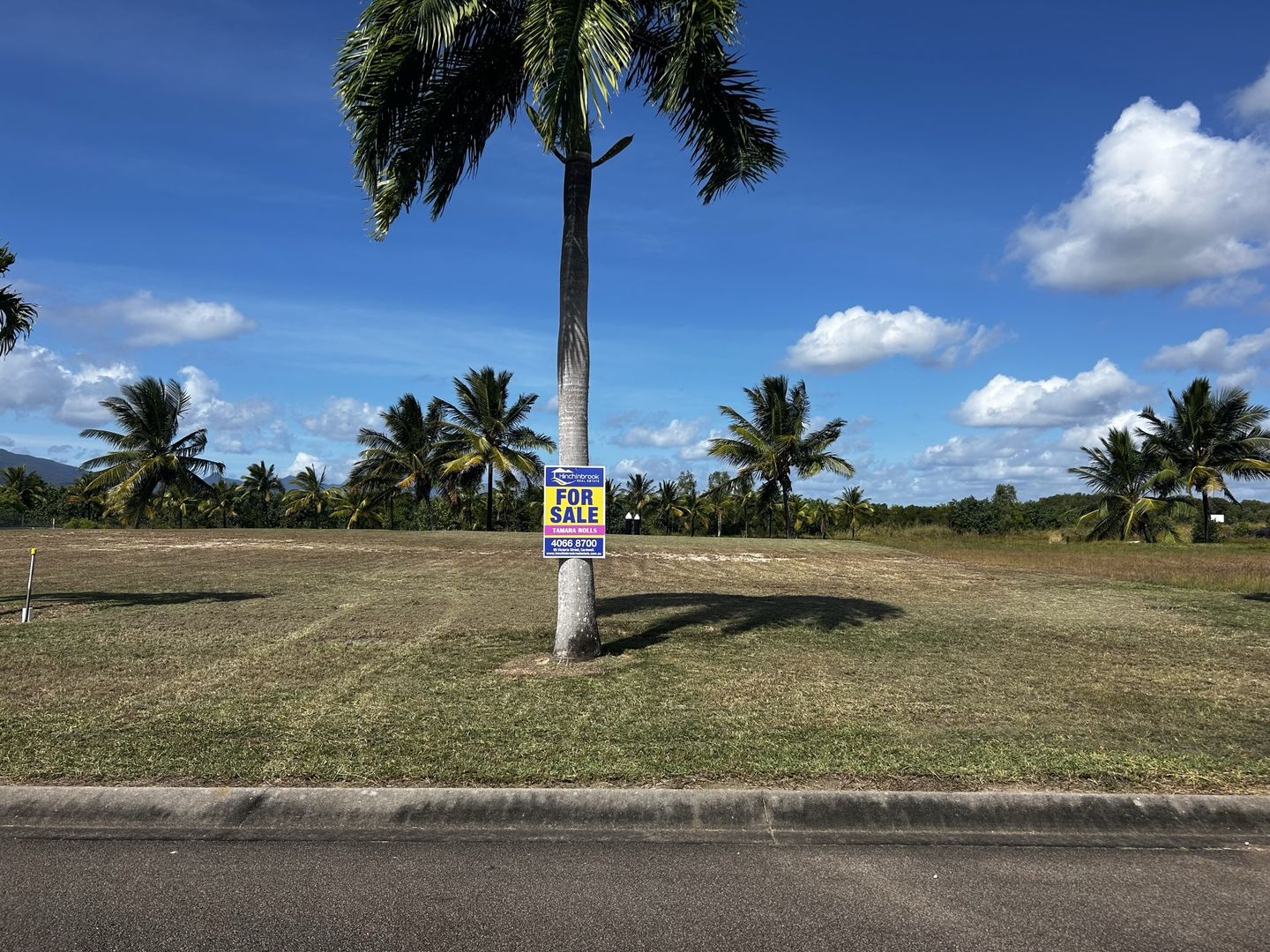 38 Royal Palm Ave, Cardwell QLD 4849 | Domain