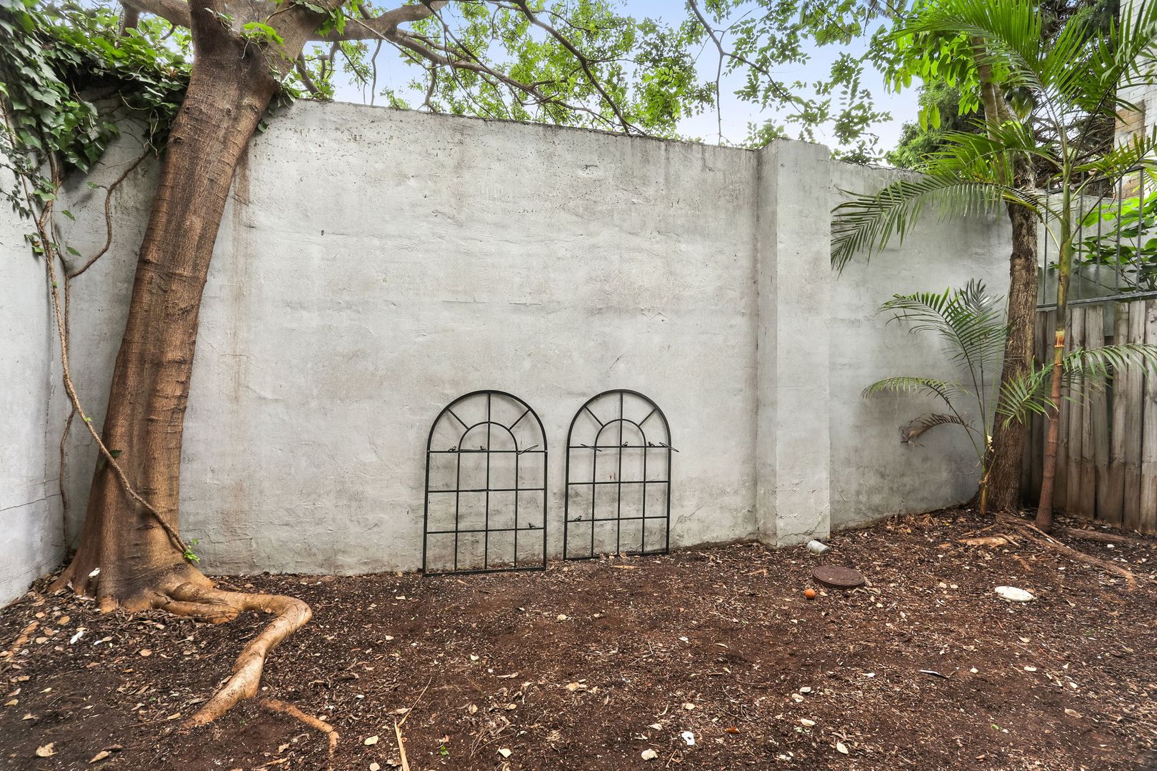 3a/1a Little Commodore Street, Newtown NSW 2042 - Apartment For Rent ...