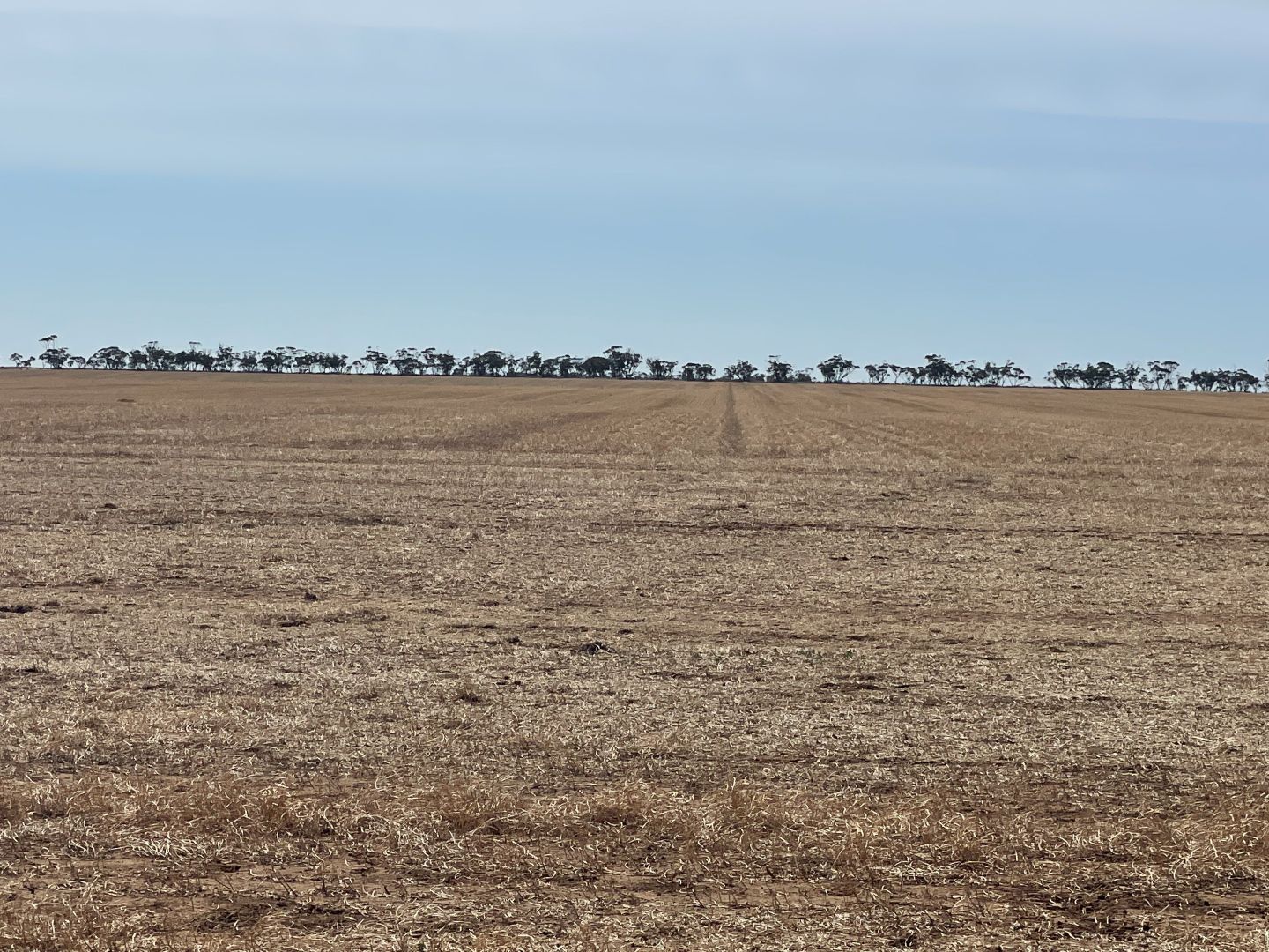 Ultima/Culgoa Road, Culgoa VIC 3530 - Specialist Farm for Sale