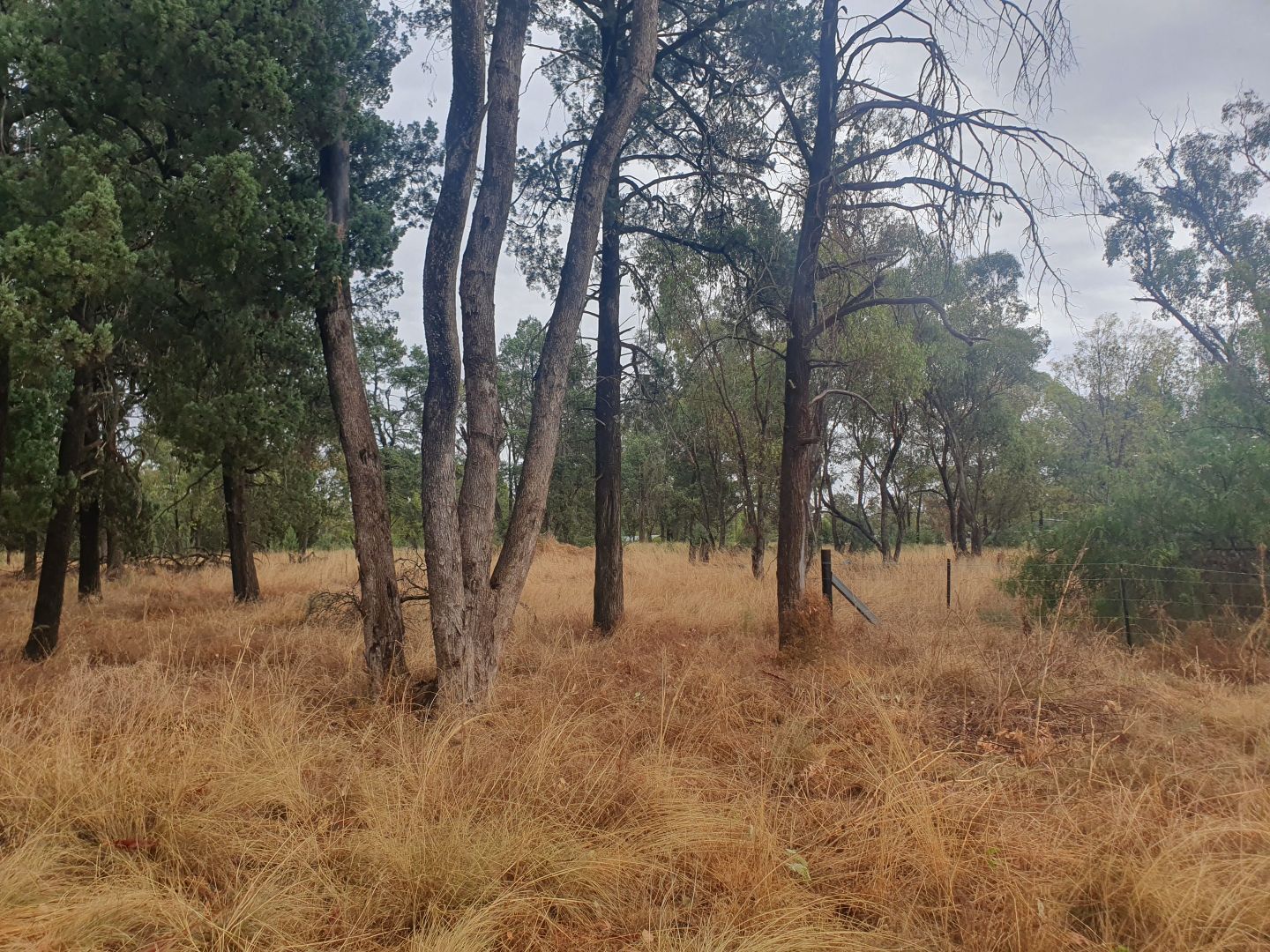 2 Humby Street, Kamarah NSW 2665 | Domain