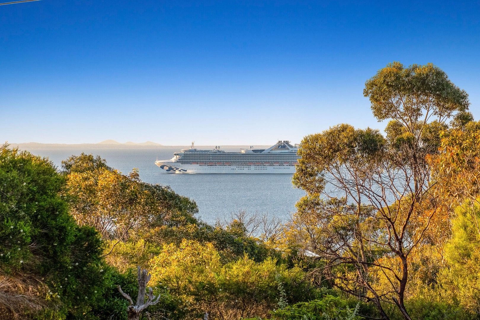 99 Bayview Road, McCrae VIC 3938 | Domain