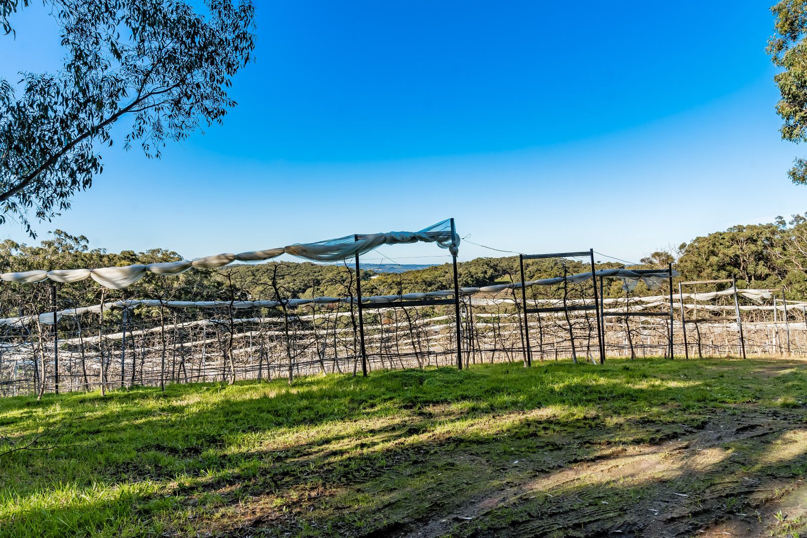 Section 385 Lobethal Road, Forest Range SA 5139 | Domain