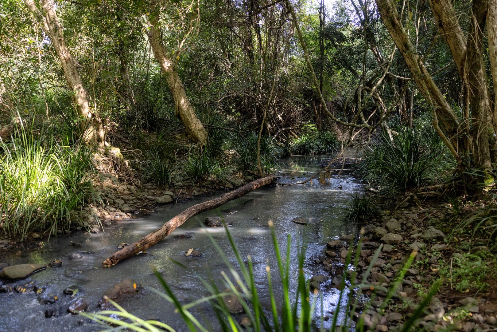 770 Mooral Creek Road, Strathcedar NSW 2429 - House for Sale | Domain