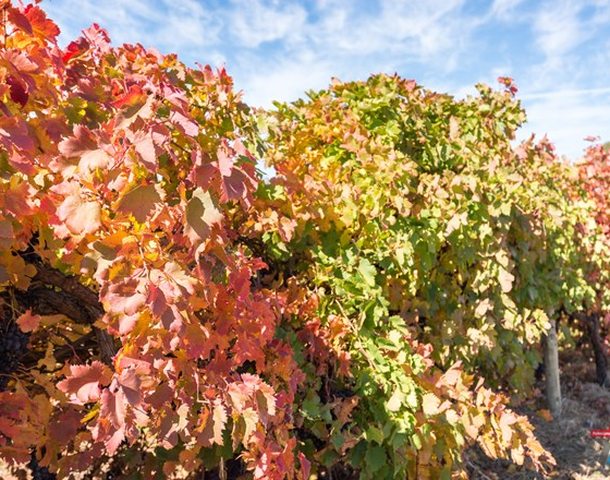 5721B Sturt Highway, Monak | Property Value Estimate & History | Domain