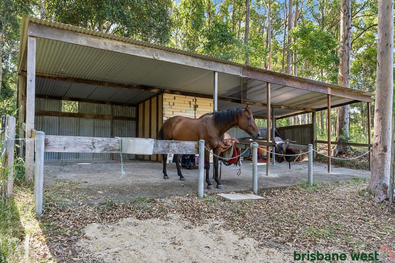543 Grandview Road, Pullenvale QLD 4069 | Domain