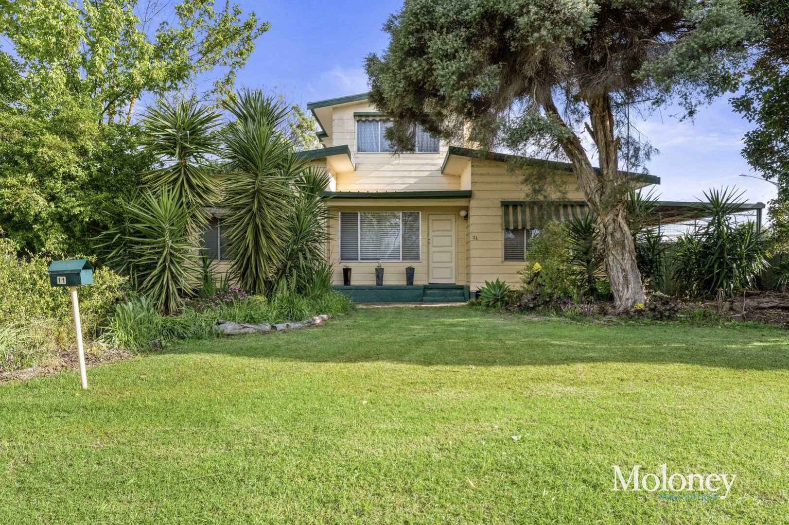 11 McDonald Avenue, Corowa NSW 2646 | Domain