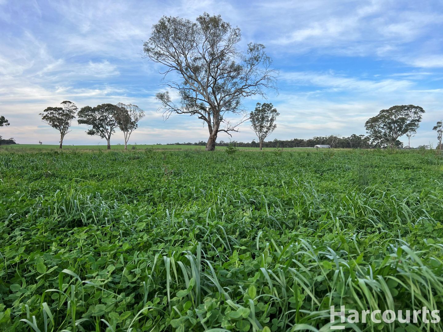 . Charam-Wombelano Road, Charam VIC 3318 - Farm for Sale | Domain