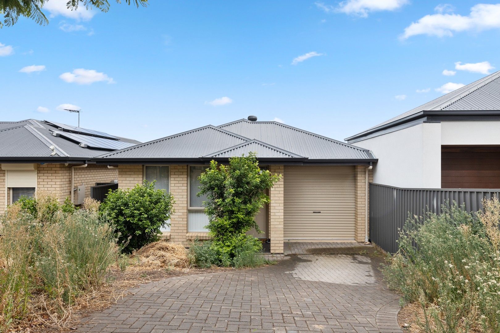 19A Jackson Terrace, Enfield SA 5085 | Domain