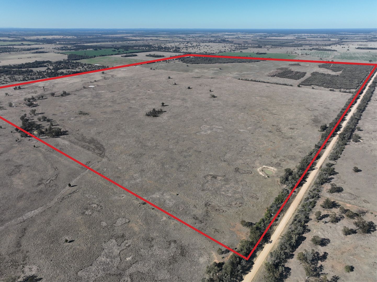 173 Forest Way, Wee Waa NSW 2388 - Specialist Farm for Sale | Domain