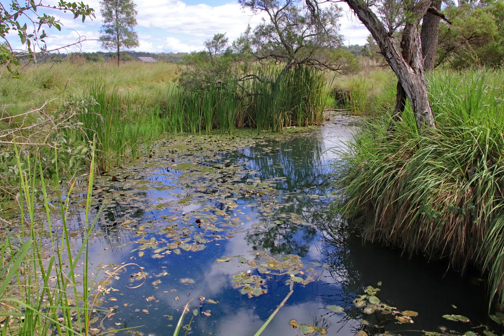 "Derabungy" 3310 Beeron Road, Beeron QLD 4626 - Farm for Sale - $8,000,000