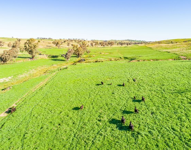395 Old Yullundry Road, Yullundry | Property History & Address Research ...