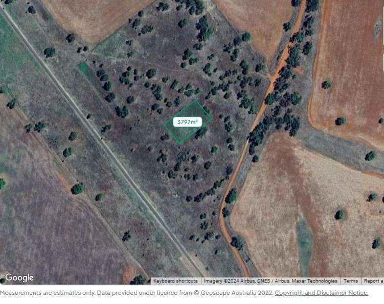 331 Bygalore Road, Ungarie NSW 2669 | Domain