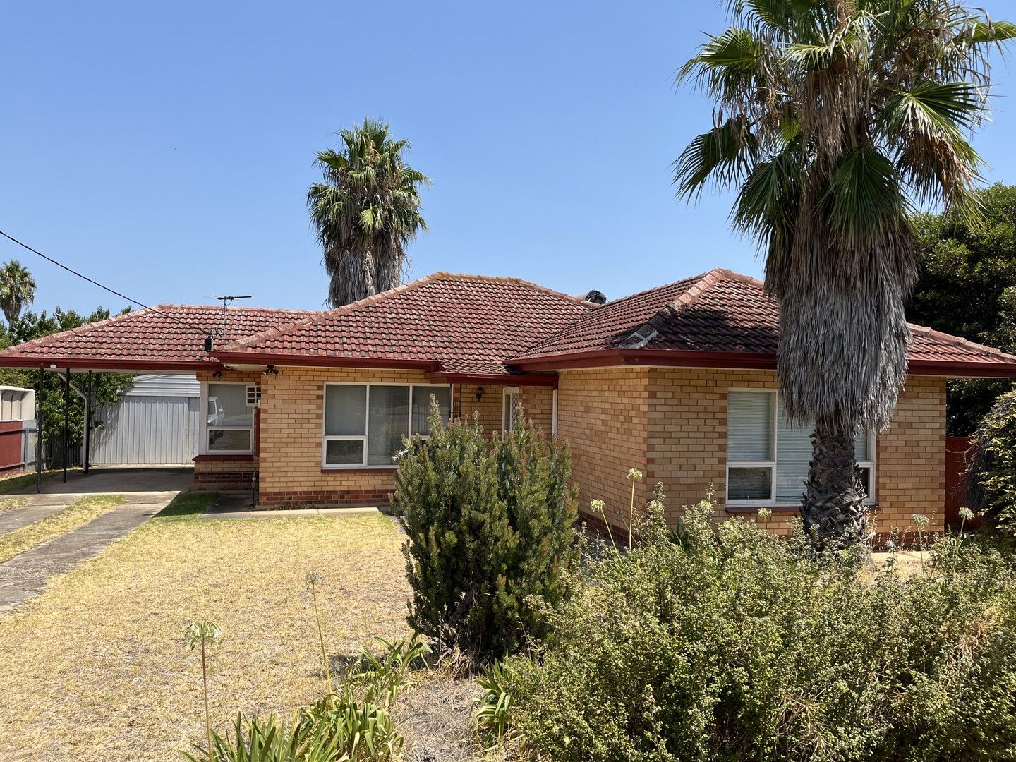 63 Suzanne Avenue, Morphett Vale SA 5162 - House For Rent - $500 | Domain