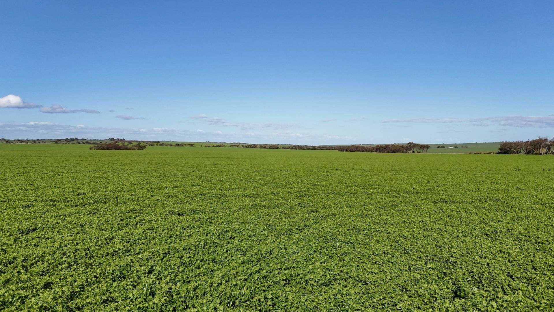 'Masons' Section 361 Willing Road, Arthurton SA 5572 - House for Sale